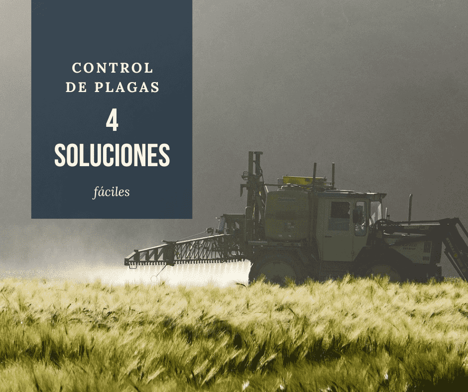 Plaguicidas - FuturCrop